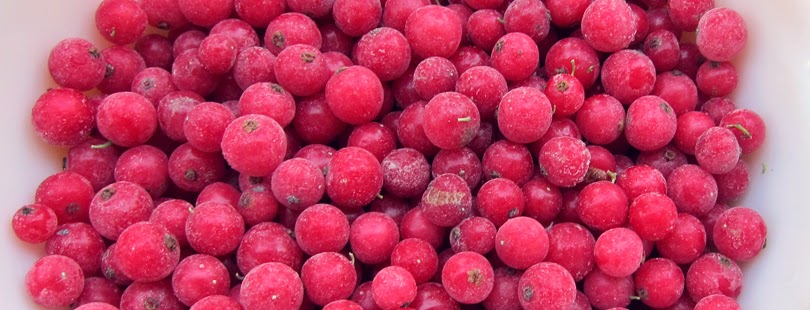 .: Groselha!! Faz bem pra Saúde, veja todos benefícios!