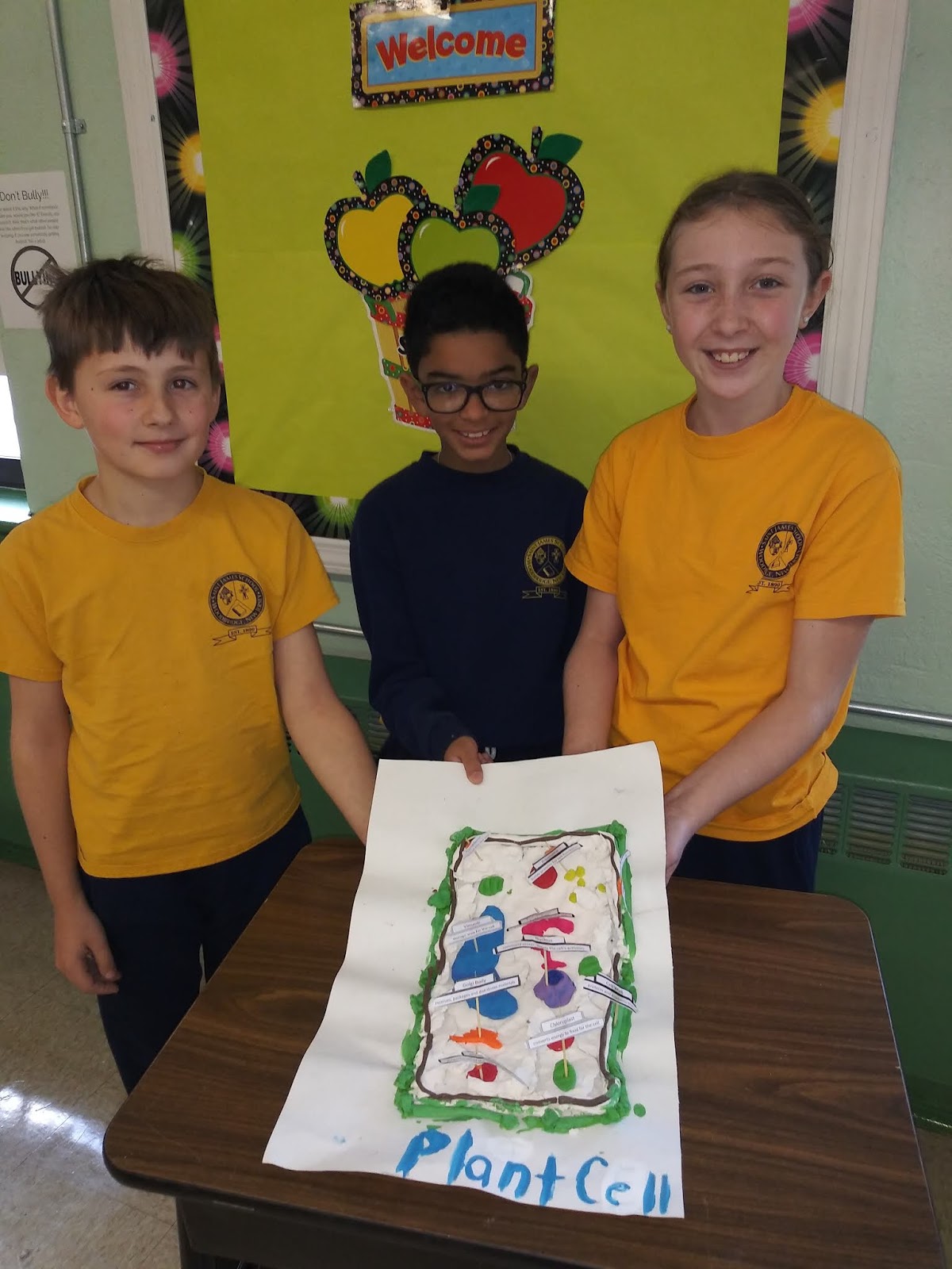 Terrific Third Graders: Plant Cells