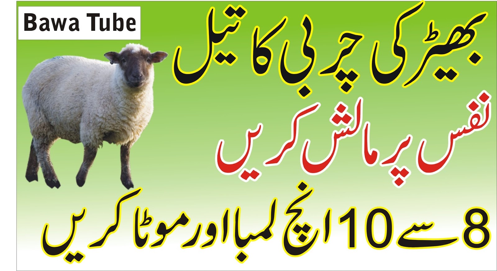 Nafs Ko Lamba Karne Ka Tarika In Urdu Oil Se Nafs Ki Malish Kare 8 Se 10 Inch Lamba Kare Bawa Tube