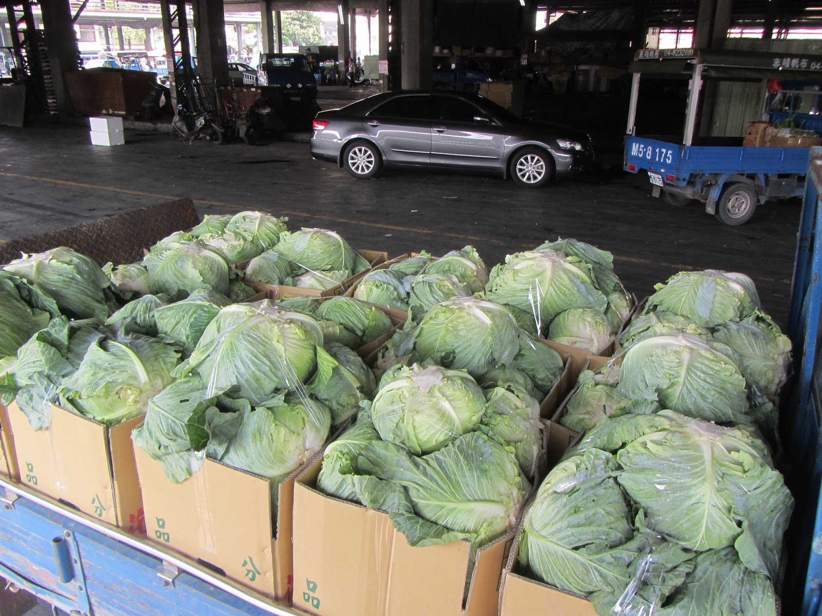 Estudiando Agricultura en Taiwán: Repollo — caja para traslado