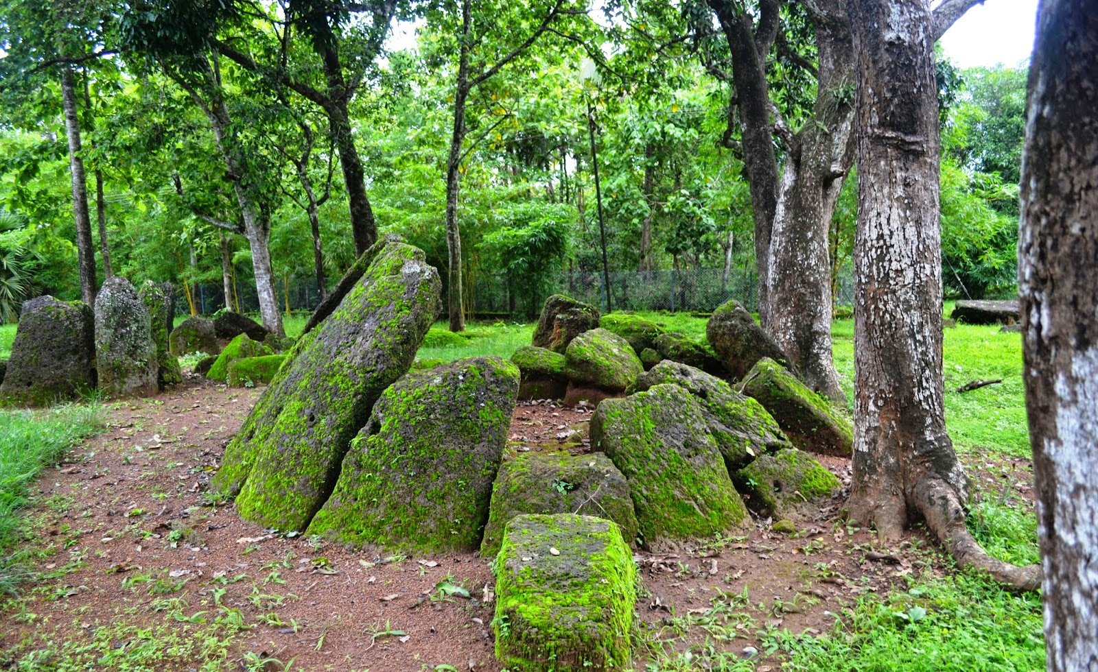 Backpack: Kudakkallu parambu-Megalithic burial site Thrissur, Kerala