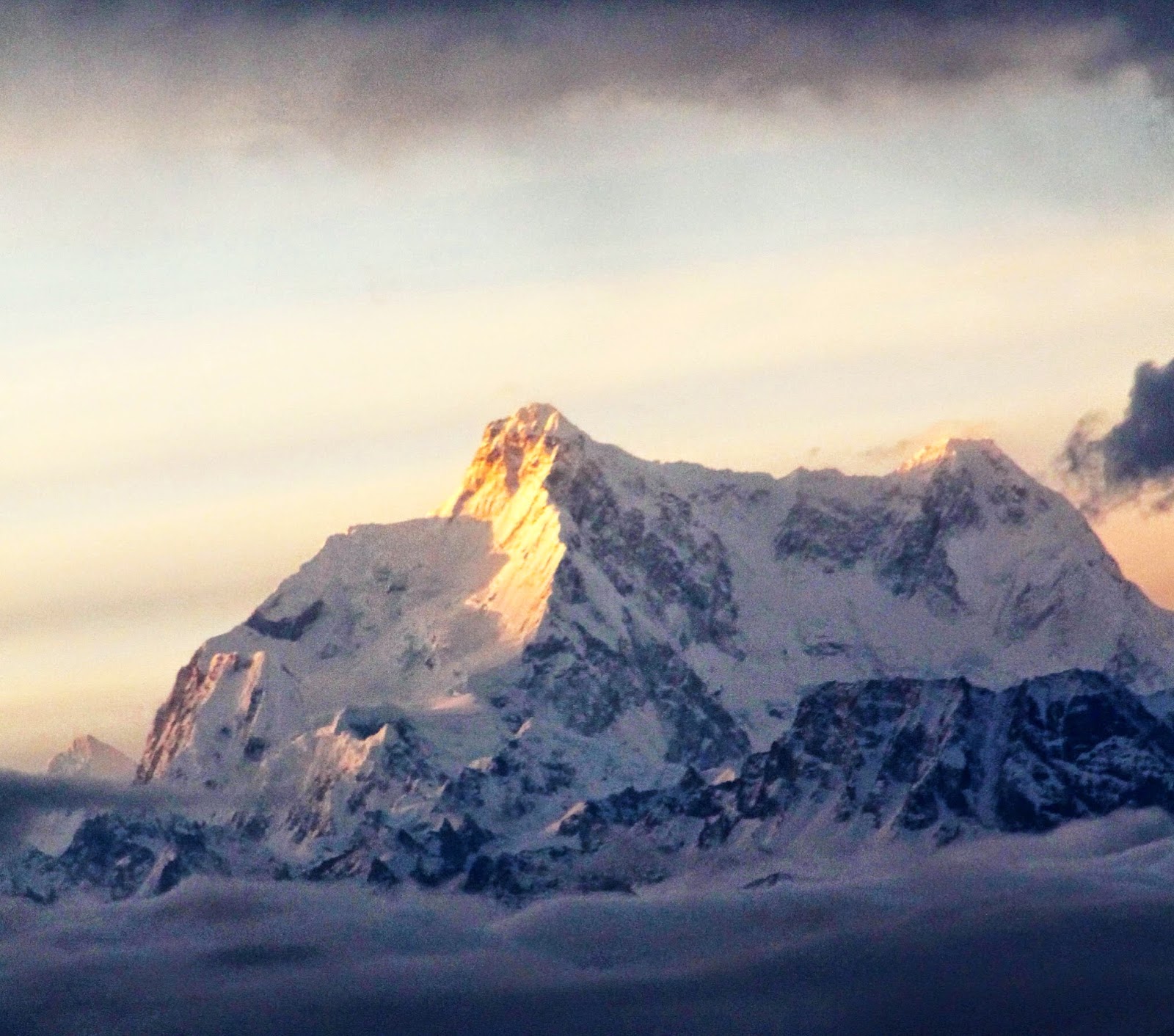 tanyeri@gmail.com: TUMLİNG...