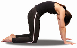 SADHANA: el sendero del Yoga: Marjaryasana - Bidalasana (Postura de ...