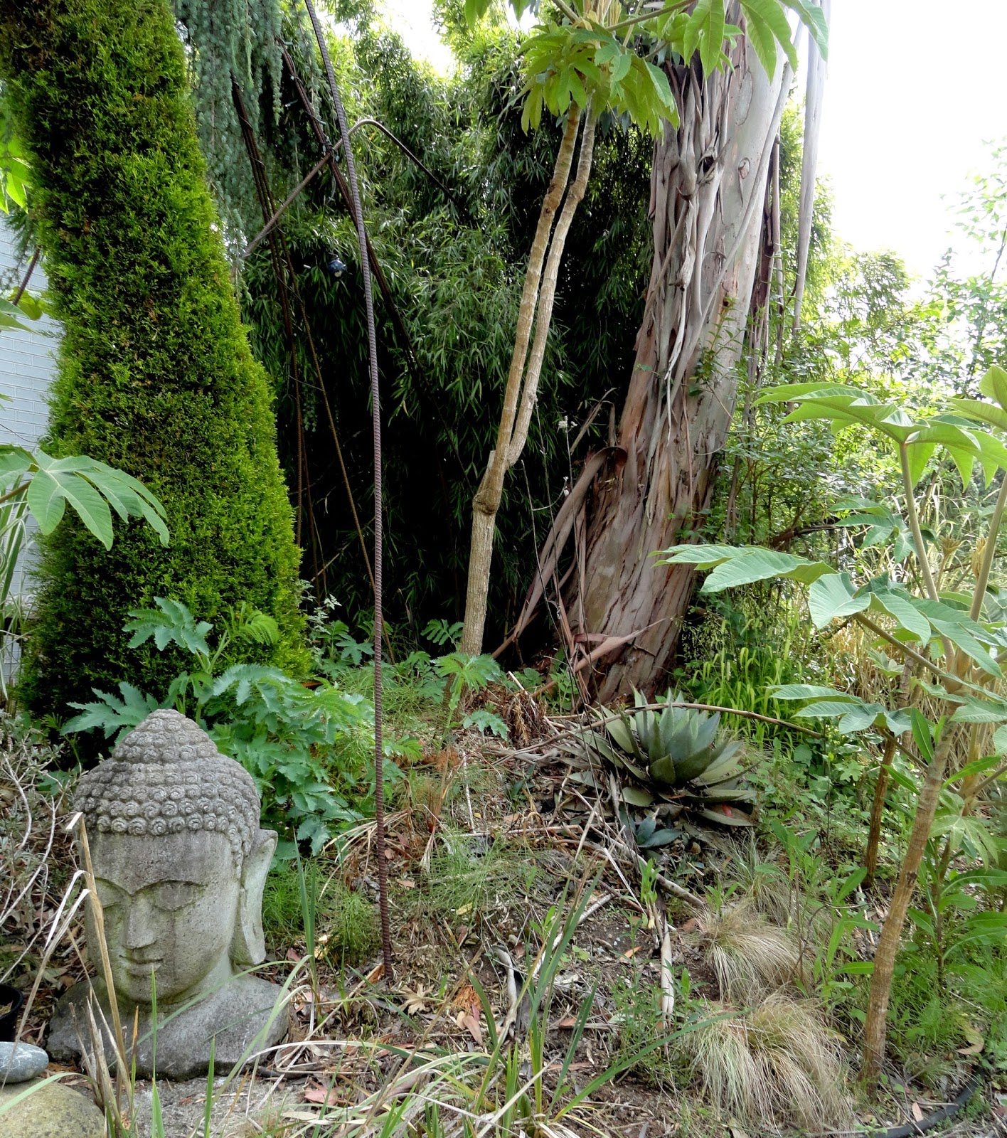 danger garden: A return to Jungle Fever