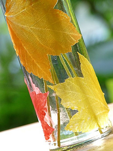 Be Different...Act Normal: DIY Transparent Fall Leaves [Fall Crafts]