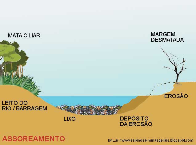 A insustentável leveza da Natureza: Assoreamentos e quedas de taludes