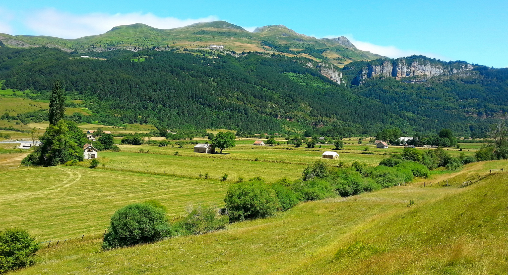 Mata de haya-Dolmen de Arrako