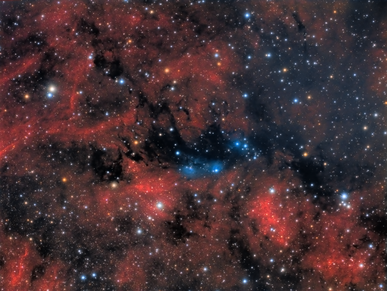 Astrophotography By James Schrader: NGC 6914 in Cygnus