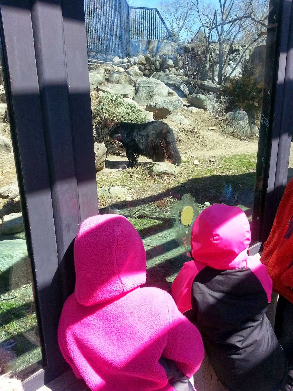 Love Life Laugh Learn: BABAR, To Duet or Not to Duet