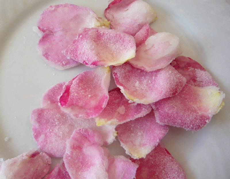 Lee Caroline - A World of Inspiration: How To - Step By Step To ...