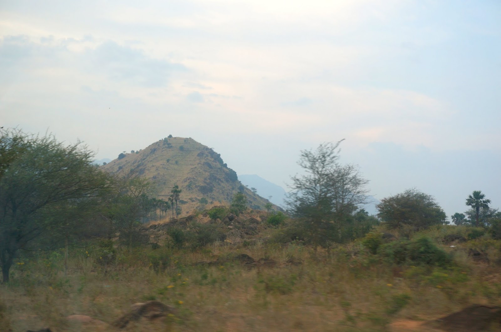 2 Weeks in India | 72 hours in Alwarkurichi & Video Diary