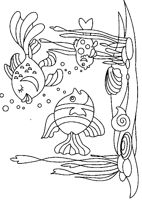 alge marine de colorat imagini planse fisa de colorat ~ Desene Imagini ...