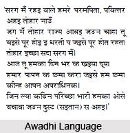 Languages of world: Awadhi Language