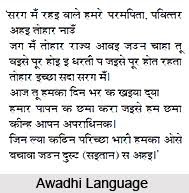 Languages of world: Awadhi Language