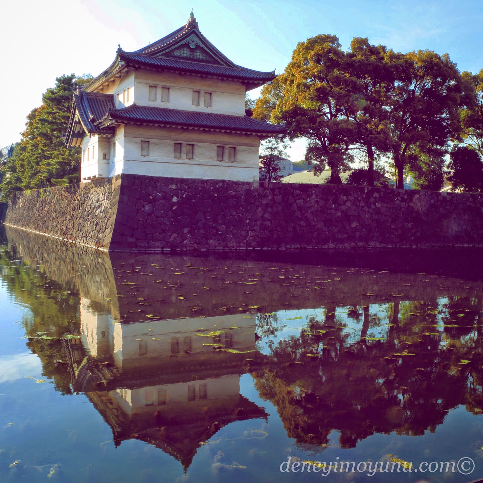 BLUE PLANET DAYS: Imperial Palace (Edo Castle), Imperial Garden ...