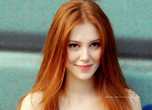 Circassia Times : Were the Celts originally Circassians?