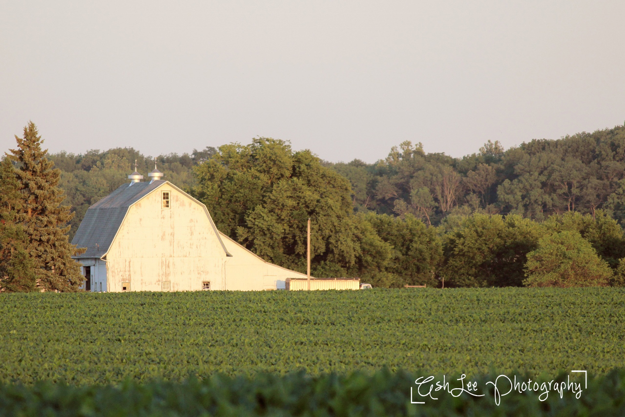 AshLee Photography: Barn Love