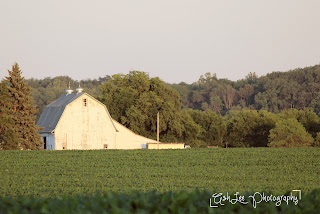 AshLee Photography: Barn Love
