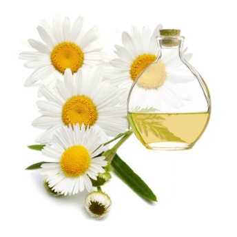 FARMACOGNOSIA: Terminología