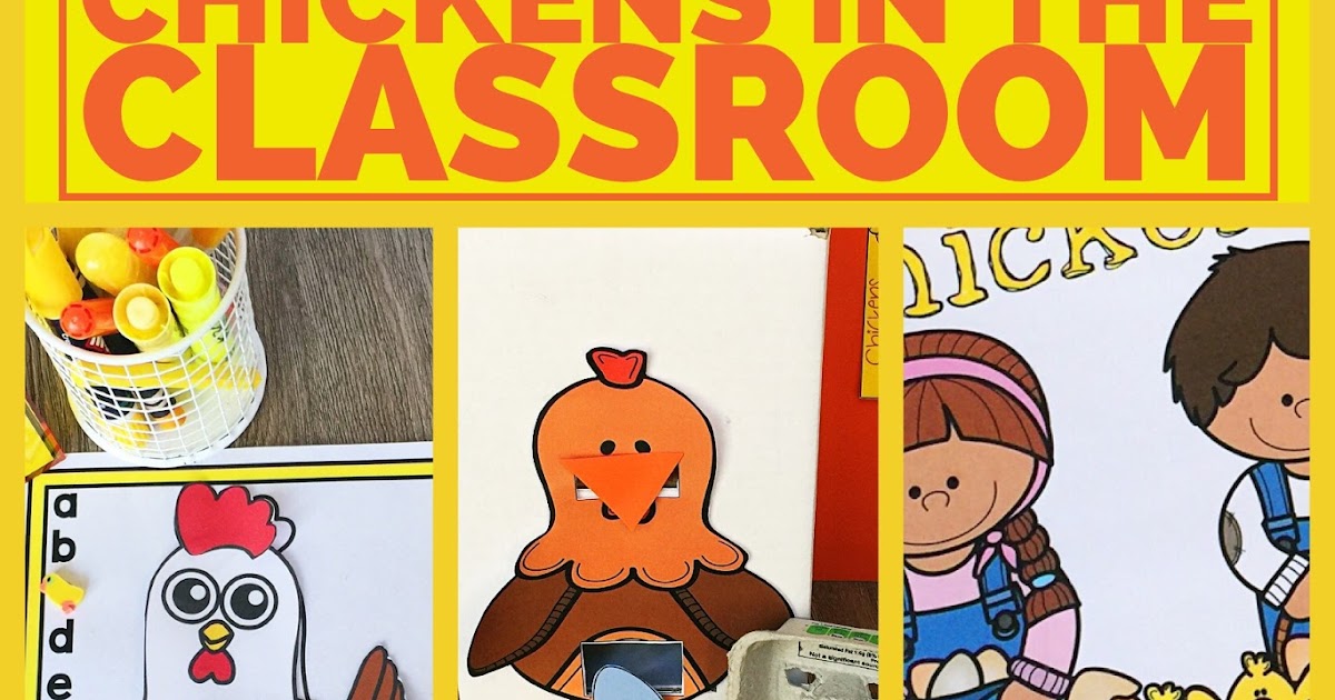 Learning Lessons With Amy Labrasciano: Teaching About Chickens In The ...