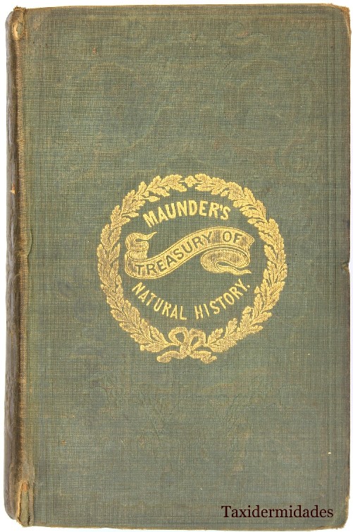 Taxidermidades: agosto 2017