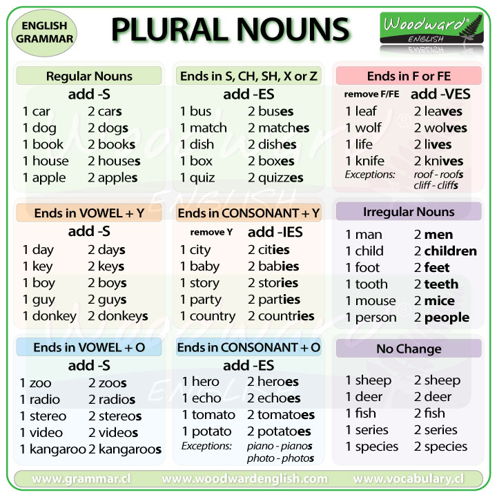 Pocket English: NB1 PLURALS AND DEMOSNTRATIVES