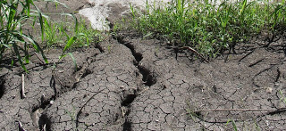 On Wings of Eagles: Lesson from a Scarecrow - Unplowed Ground