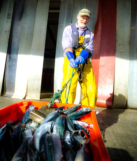 Through the Gaps! - Newlyn Fishing News: Fishermen lead the way in ...