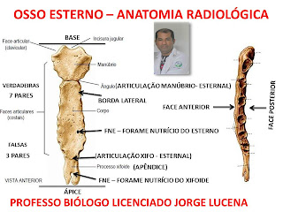 Biólogo Jorge Lucena