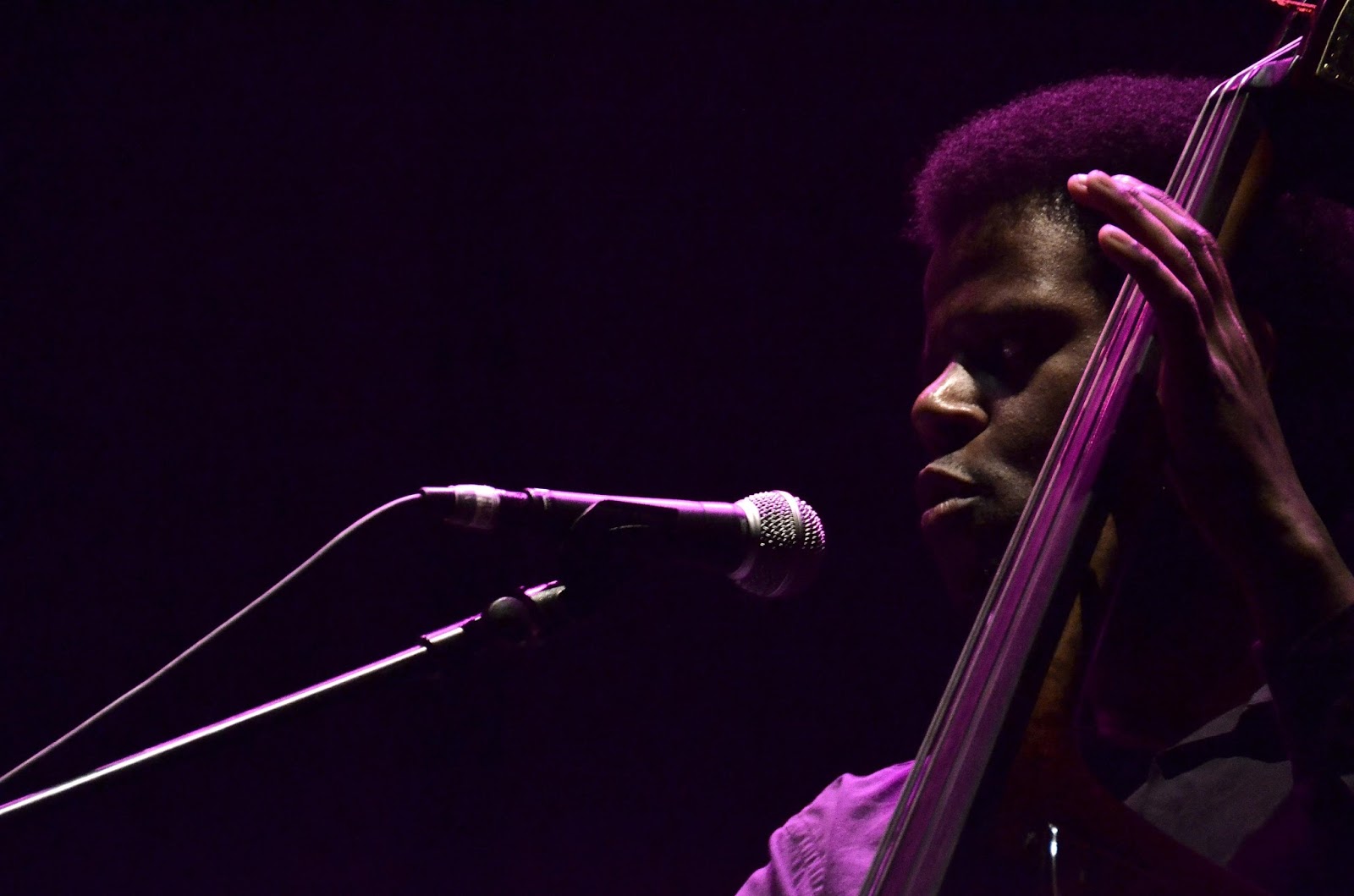 alparceando de fatezas: philip achille