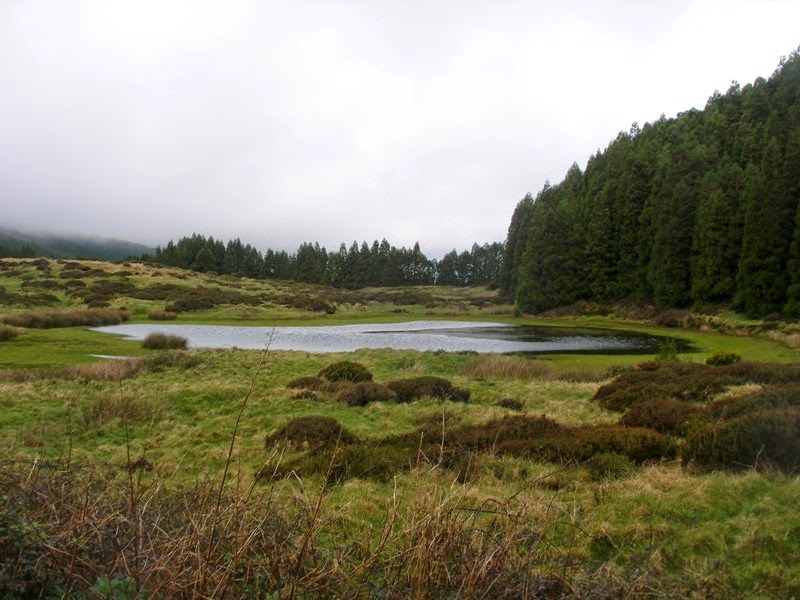 SaLiDaS a La NaTuRaLeZa: Viaje a Terceira (1º parte): Aves y paisajes