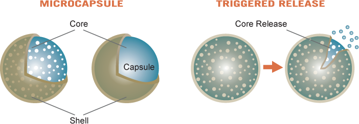 สวย สุขภาพดี ด้วย Beauty Ingredient : Encapsulation ในเครื่องสำอาง