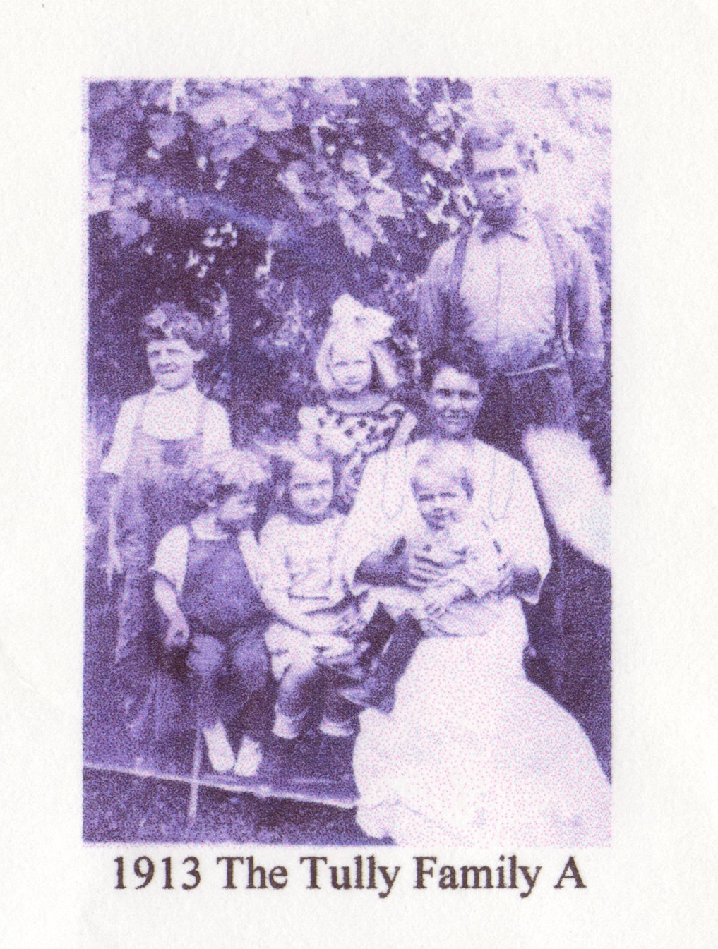 Robin's attempts to fly away home...: Andersson