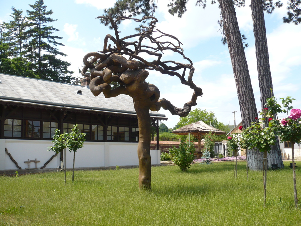 MONUMENTE ISTORICE DIN ROMANIA : Conacul Polizu