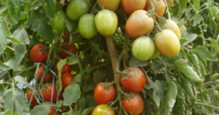 home with machine gun kelly lyrics