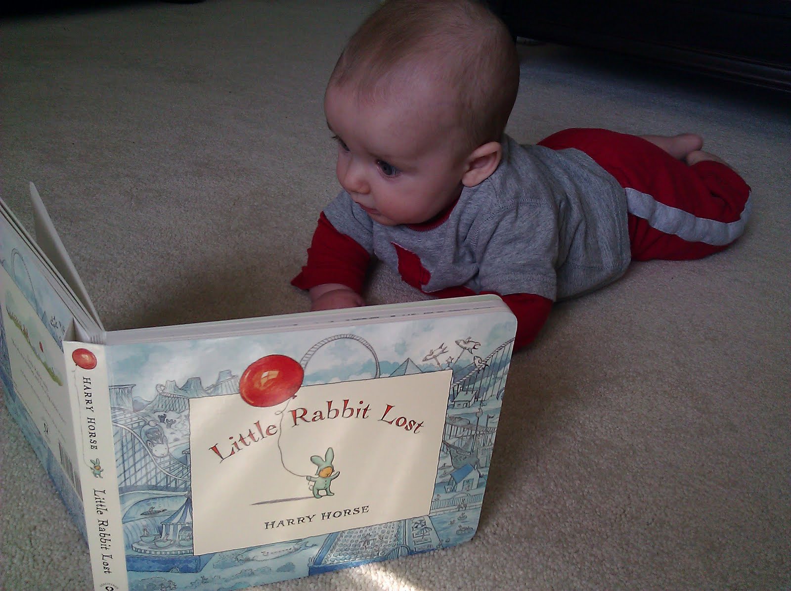 My sister Jaime’s son Charlie “Bucket” “reading” Little Rabbit Lost