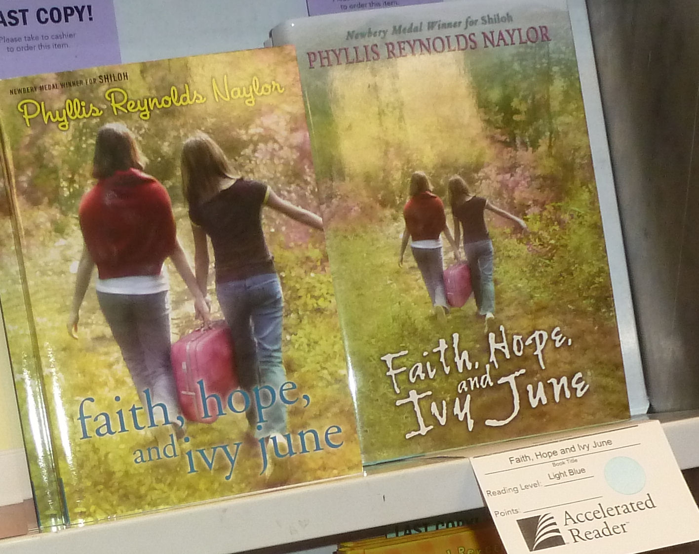 Bring on the Books: BOOK FAIR: Faith, Hope and Ivy June by Phyllis ...