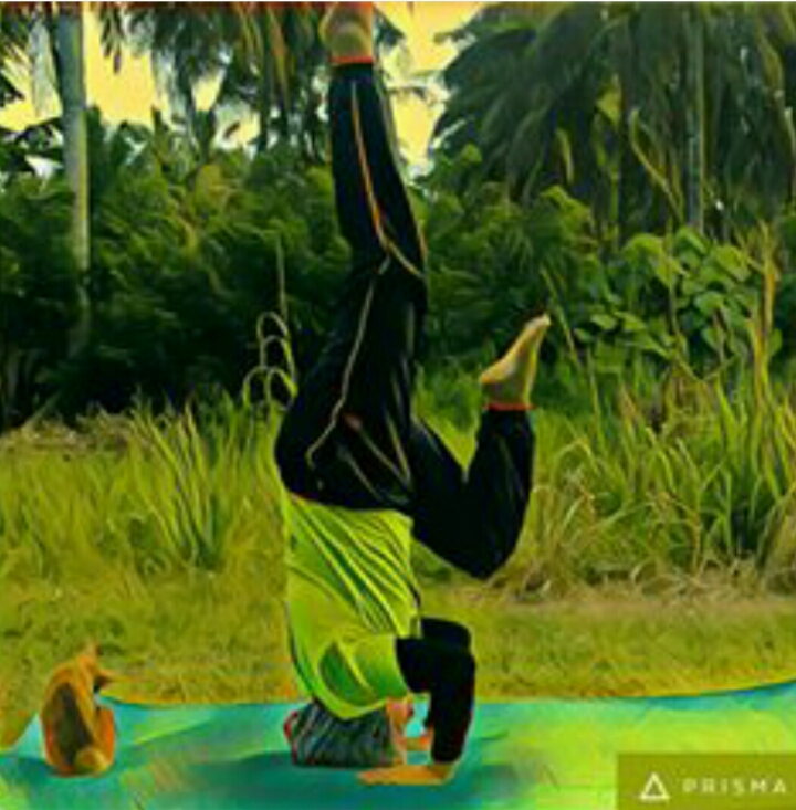 Tips Melakukan Senaman Yoga di Rumah Untuk Level Beginner (Pemula ...