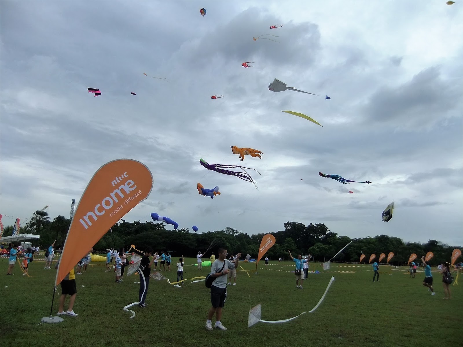 Singapore Kite Association: 2010
