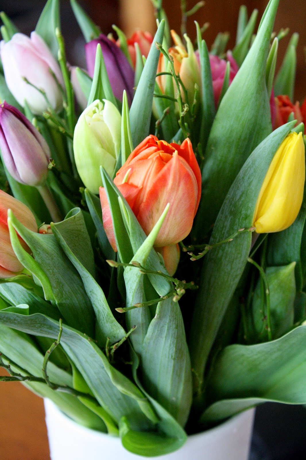 MIN NATUR: Tulpaner - I like