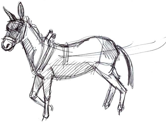 Art by Jeane Nevarez: mule in harness