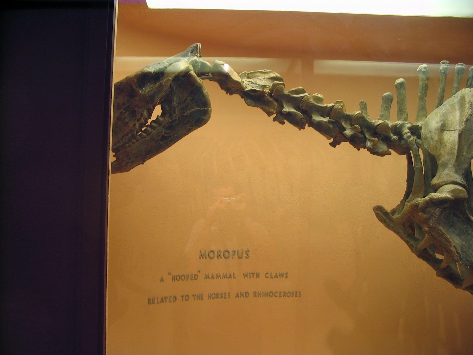 What happens when a non-accredited paleontology fan blogs: Species That ...