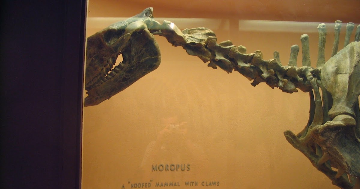 What happens when a non-accredited paleontology fan blogs: Species That ...