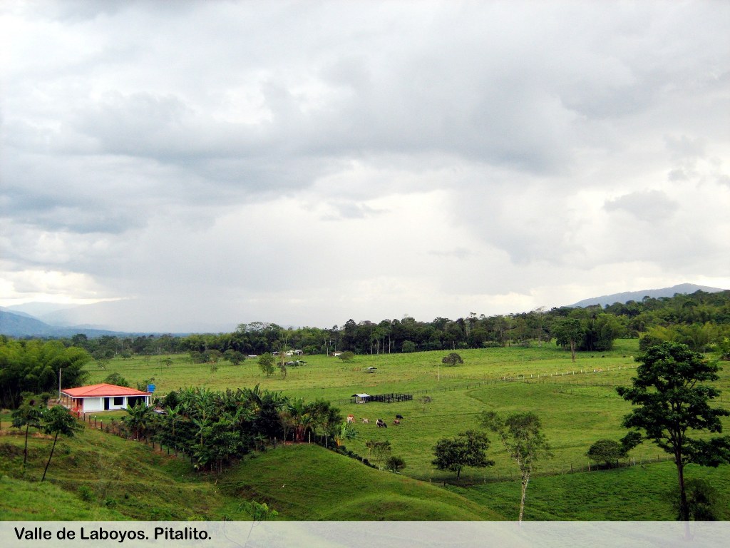 Arte, cultura y turismo: INCREIBLES FOTOS DE PITALITO HUILA