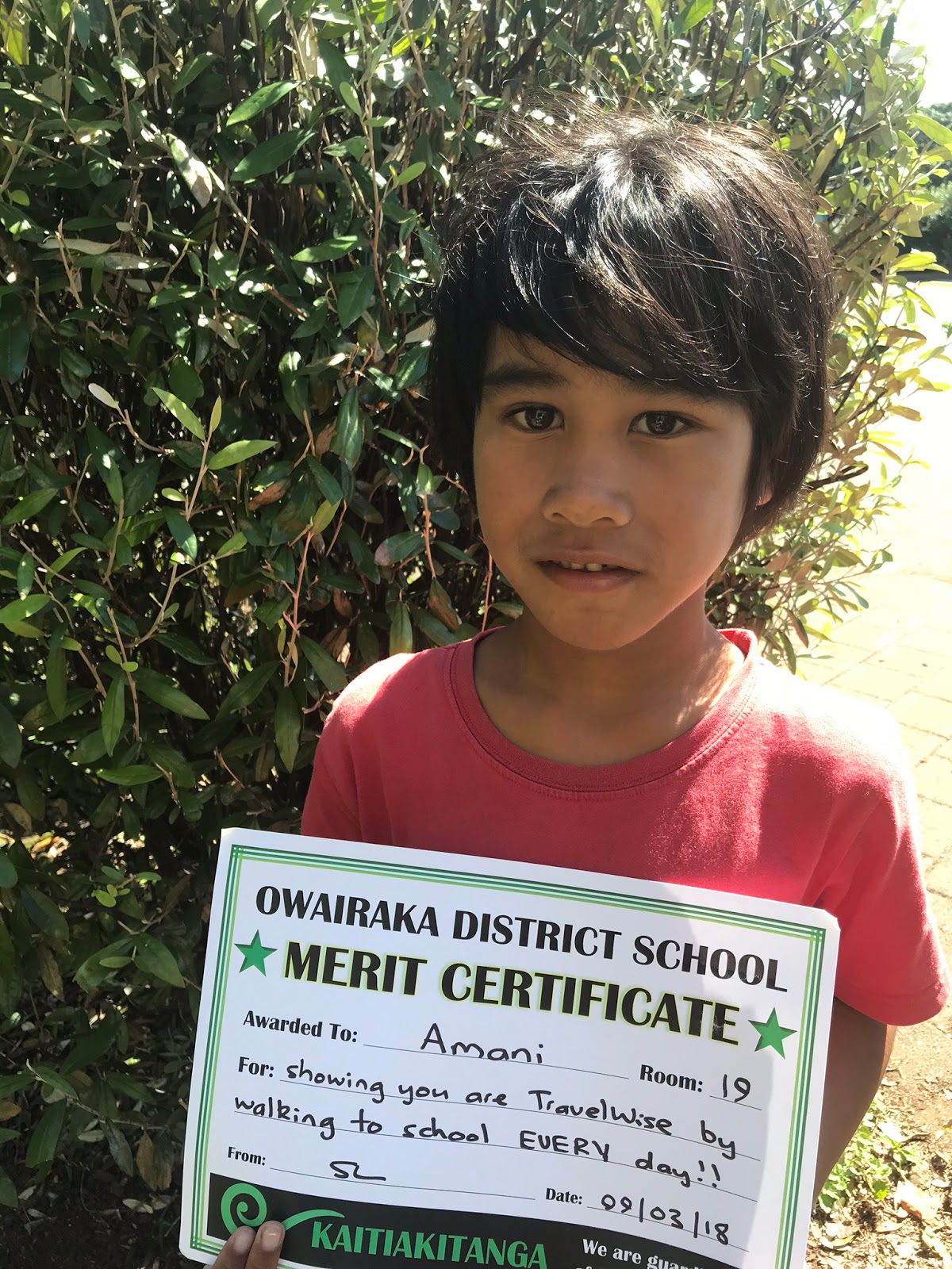 wai19 wairaka District School School Certificate Amani wai19-wairaka-district-school-school-certificate-amani