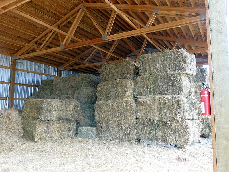 Rural Revolution: Hay enough for winter