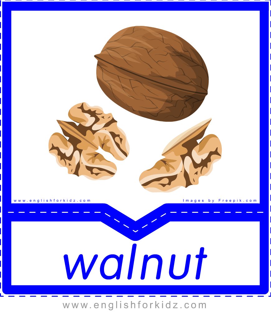 Fruits & Vegetables Flashcards. Part 5.