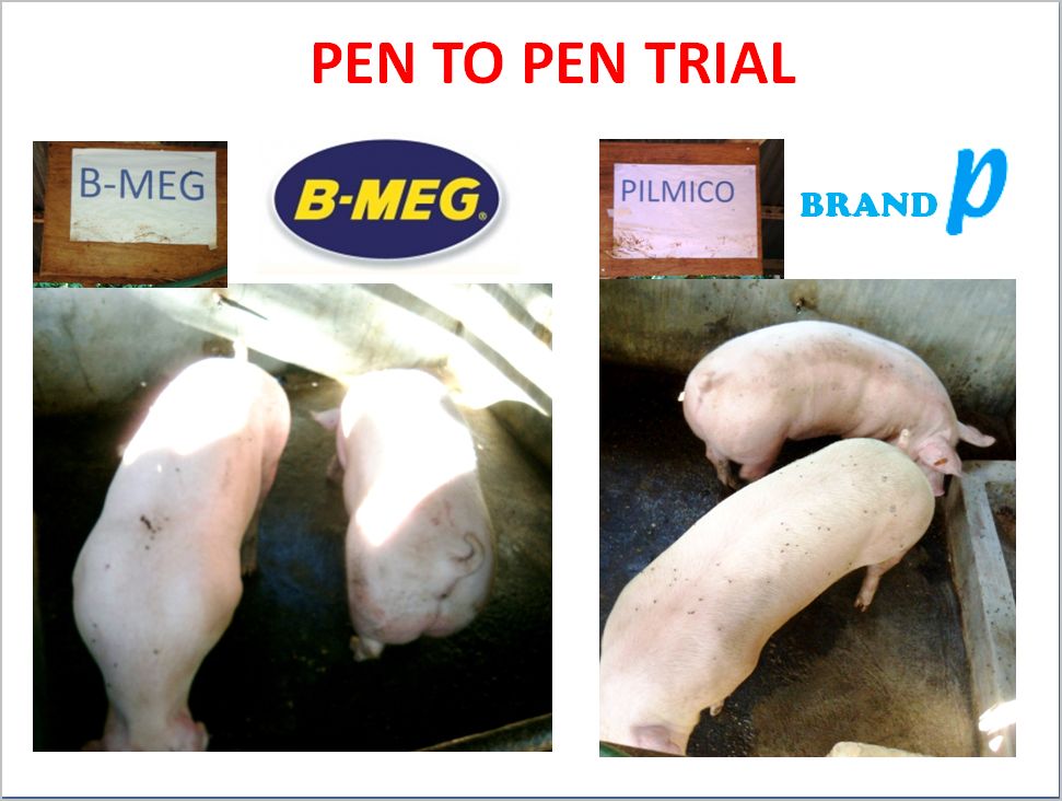 farmer me: The B-Meg Advantage