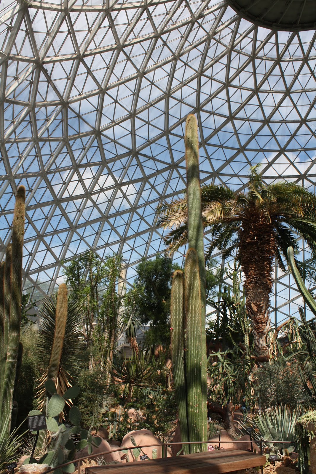 A Little Time and a Keyboard: Mitchell Park Domes in Milwaukee ...