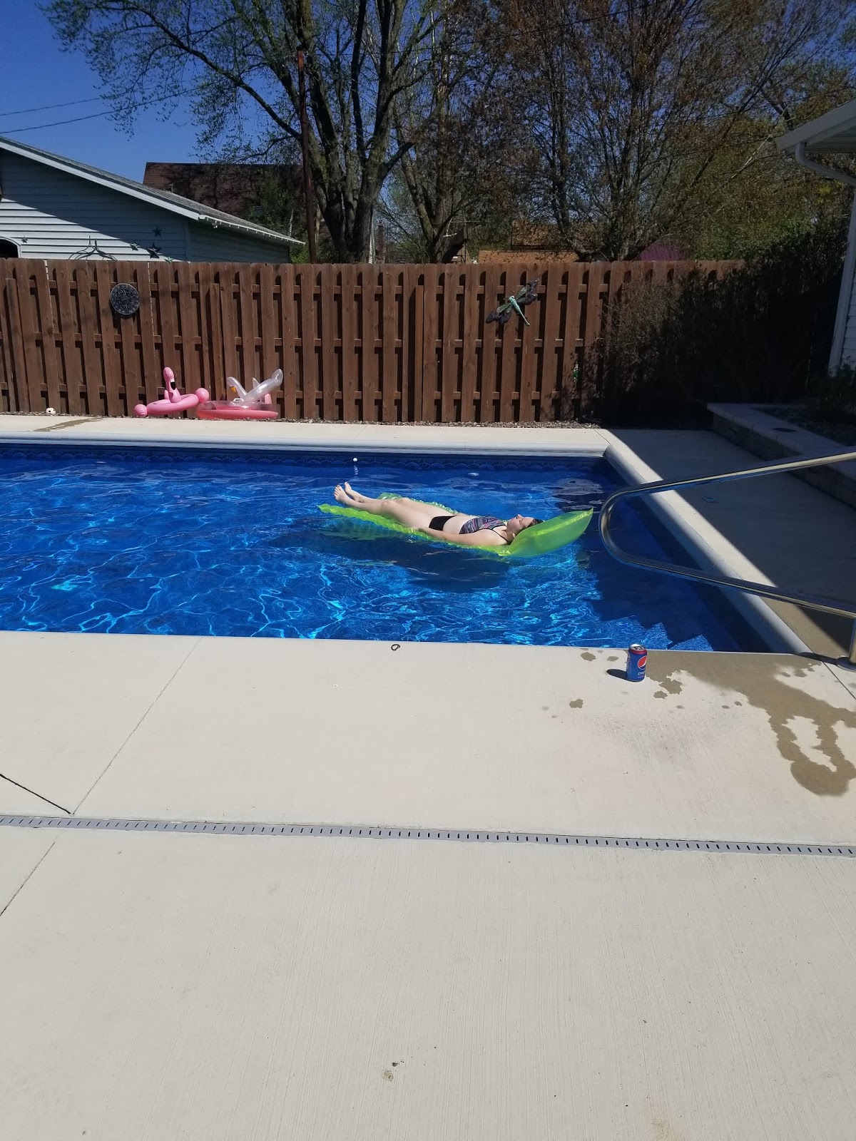 The Hayes Blog: Pool Opens for Season